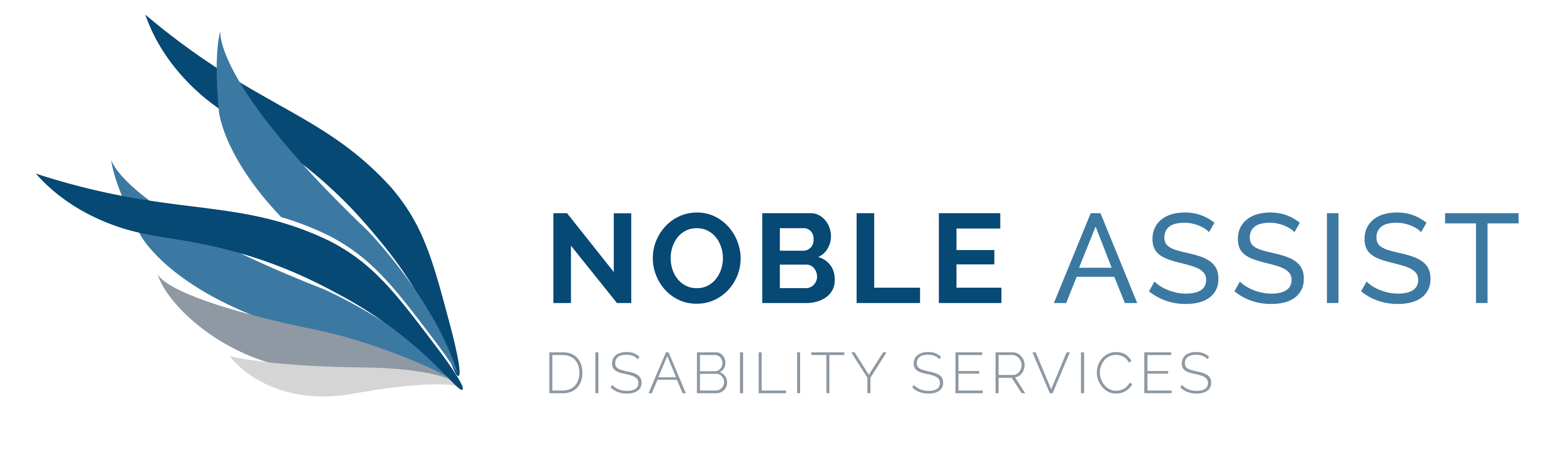 Noble Assist Disability Services